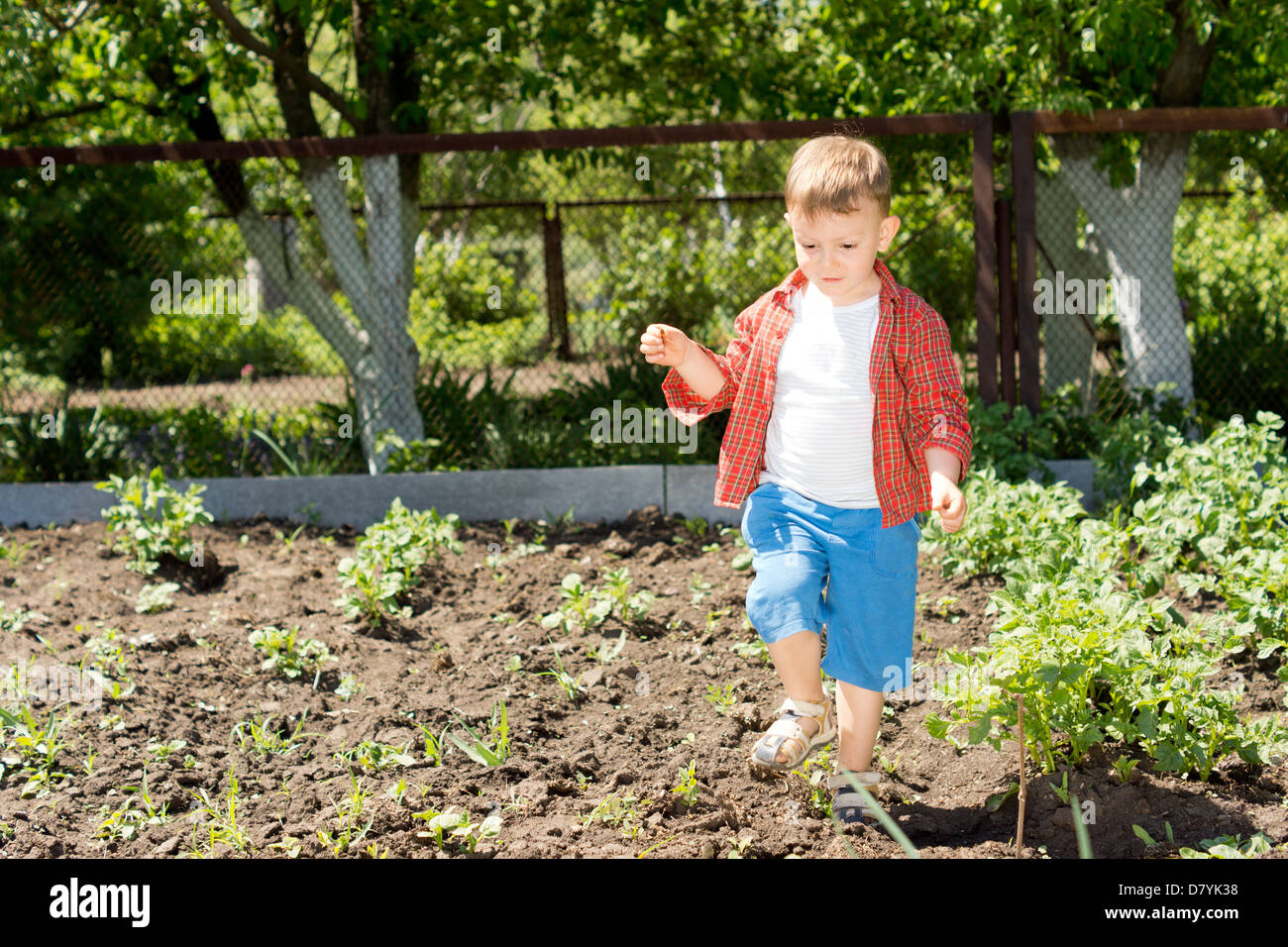 Photograph of a cute kid walking in the garden Stock Photo - Alamy