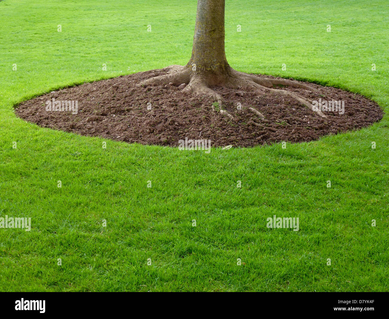 Garden routes hi-res stock photography and images - Alamy