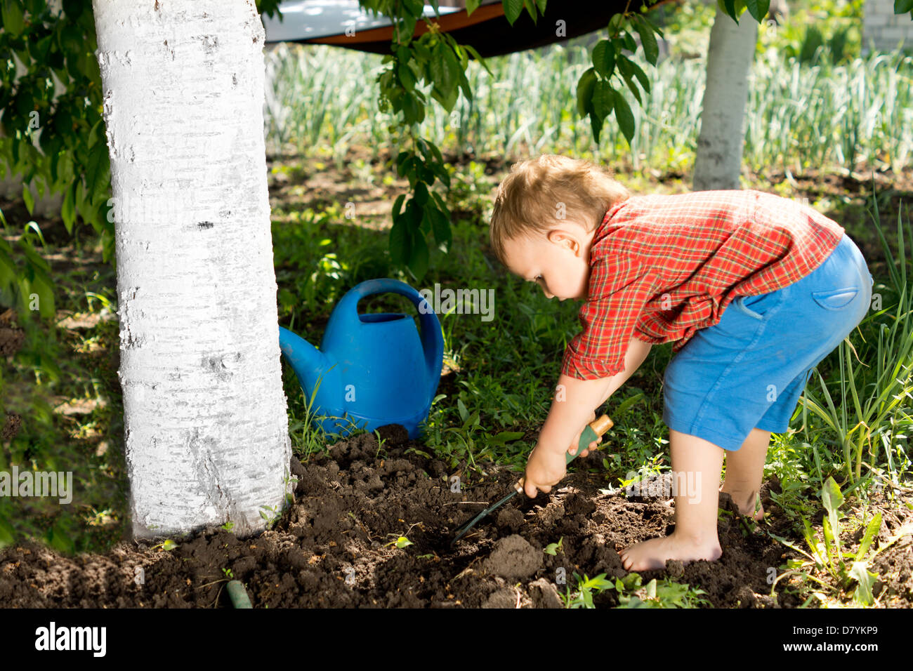 Young boy bending down digging a hole in the earth at the foot of a ...