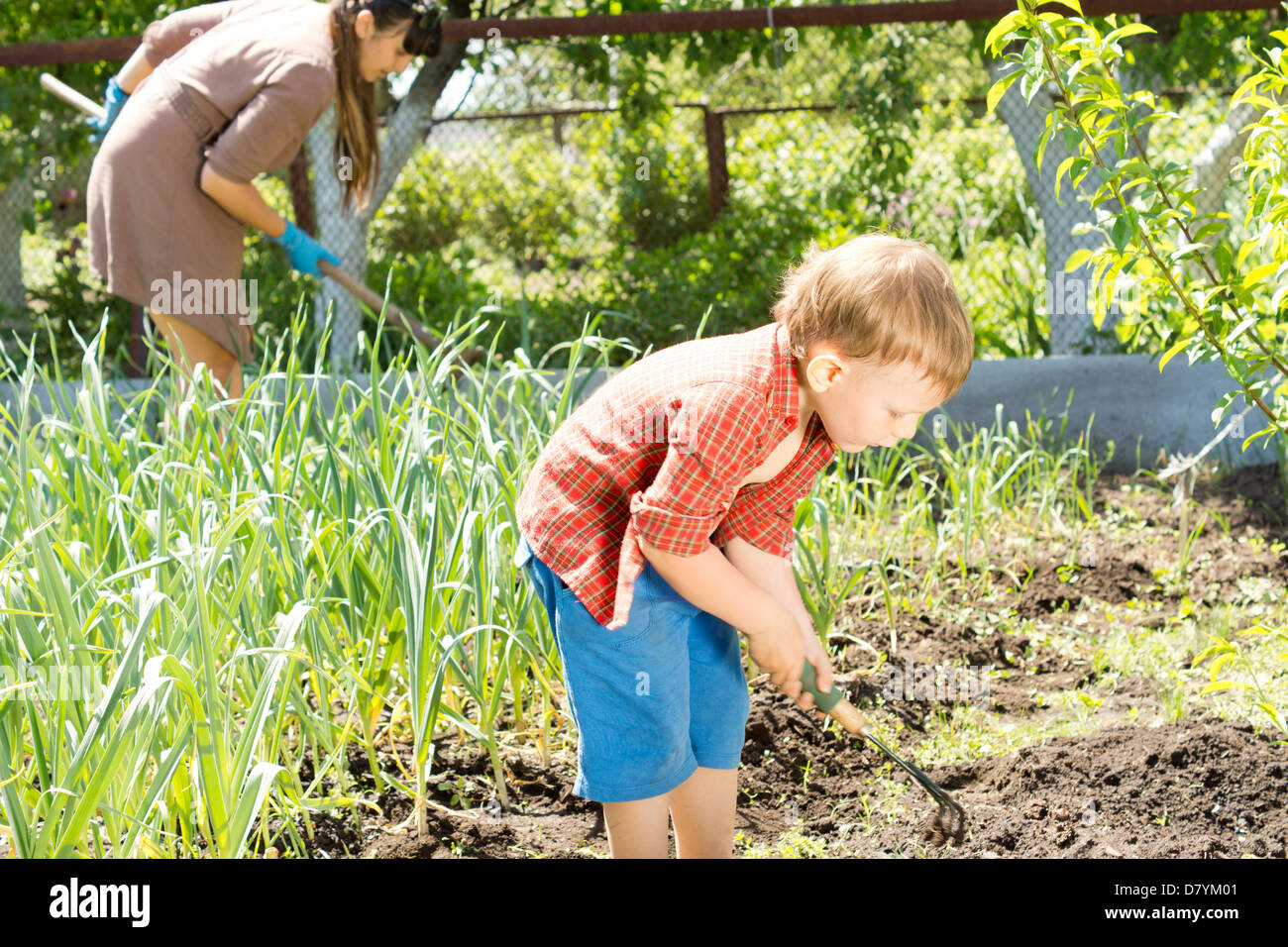 Cute little boy working with his mother in the vegetable garden weeding ...