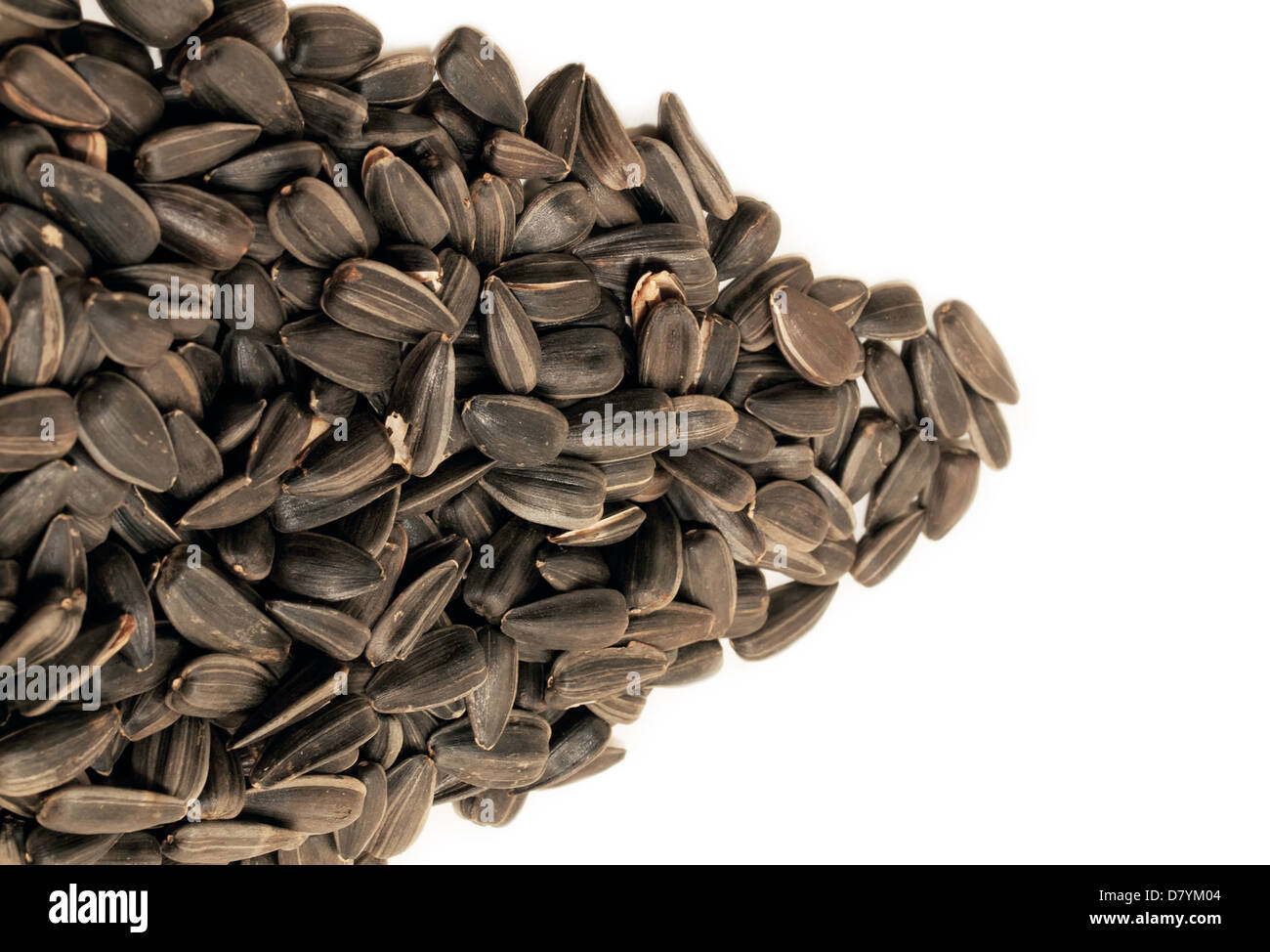 Sunflower seeds background hi-res stock photography and images - Alamy