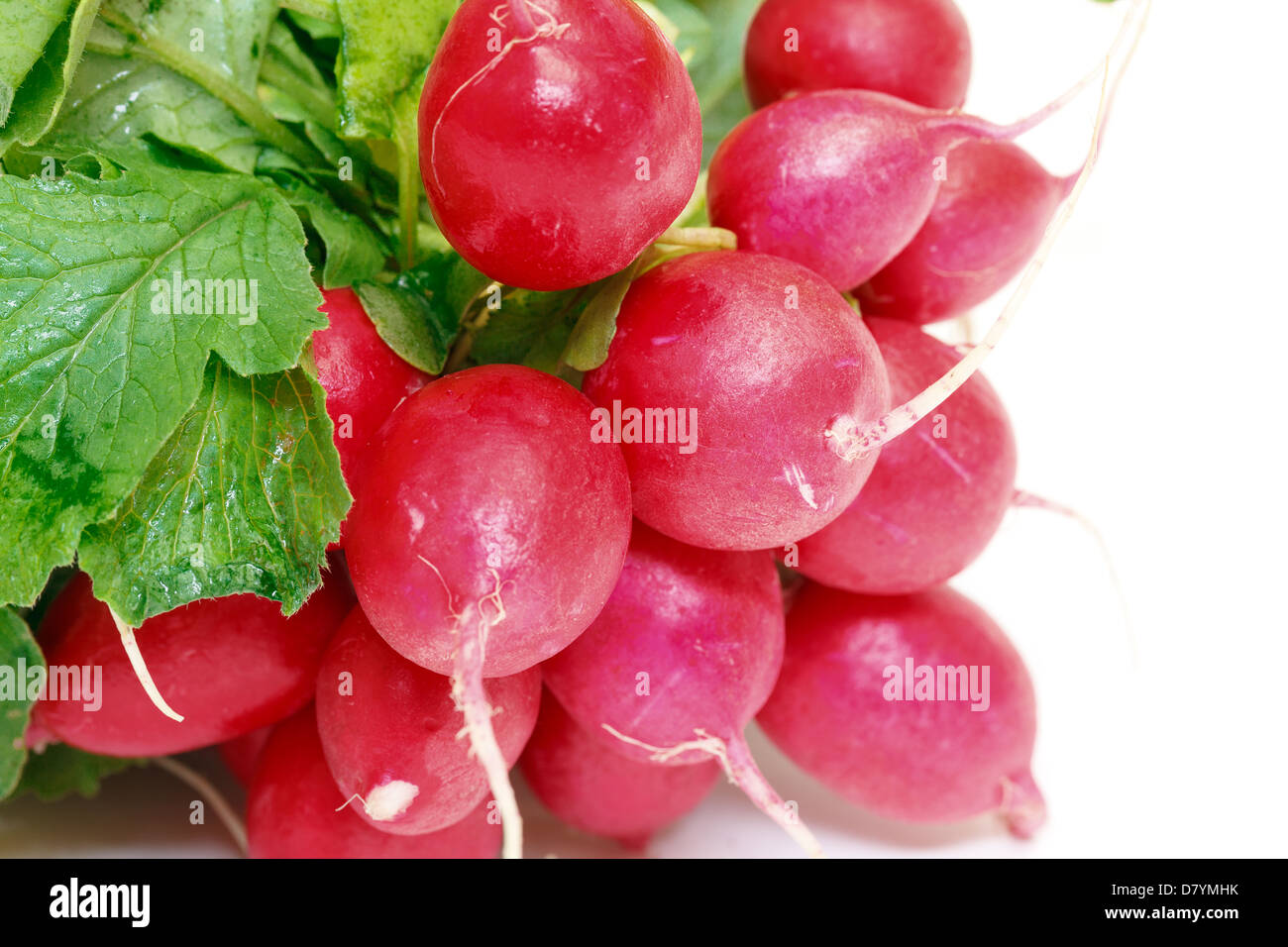 Small garden radish with leaf on white background Stock Photo - Alamy