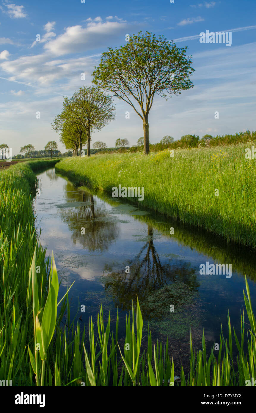 Dutch waterway hi-res stock photography and images - Alamy