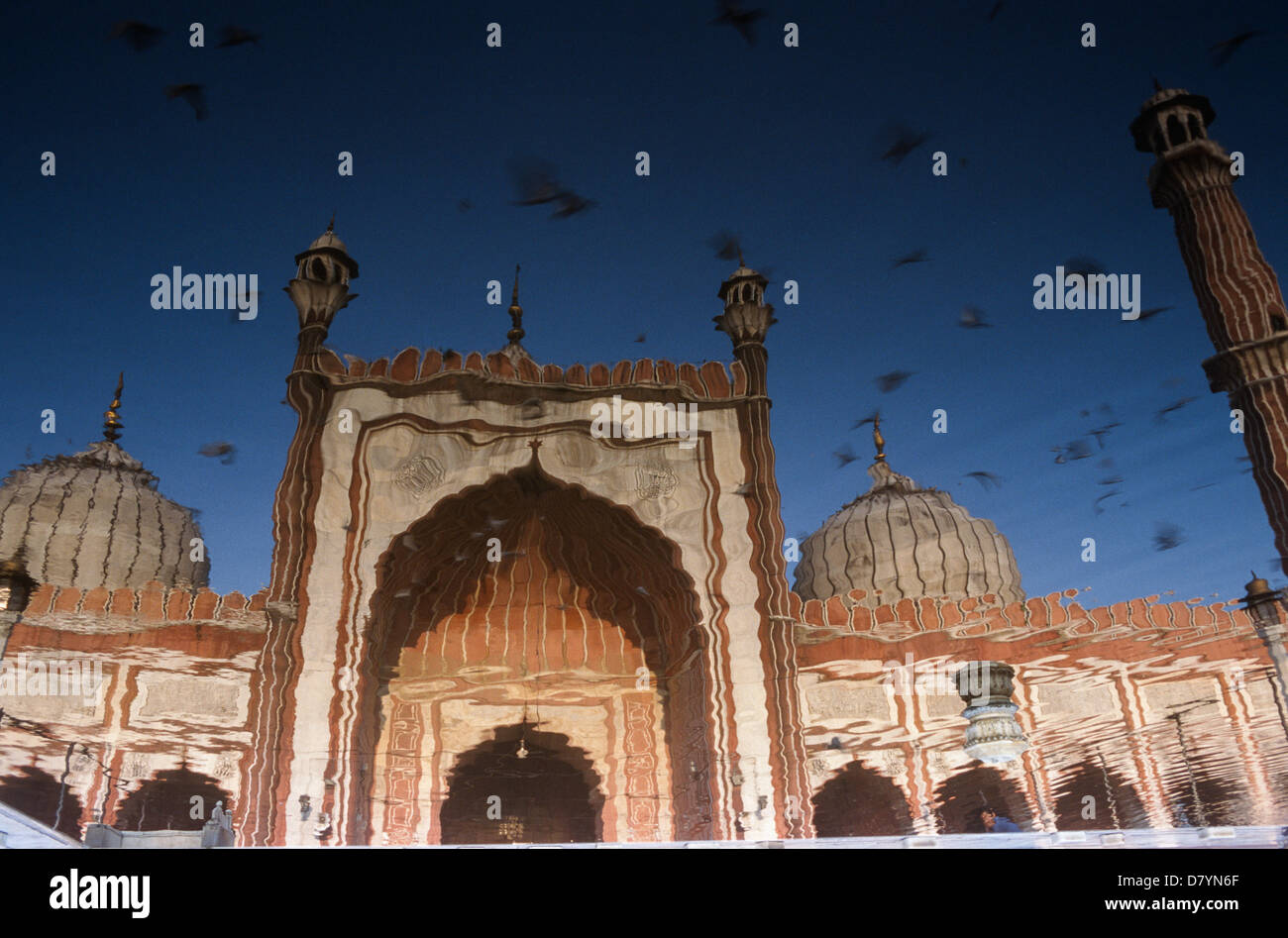 Reflection of Jama Masjid in the water of a basin, Old Delhi, India ...