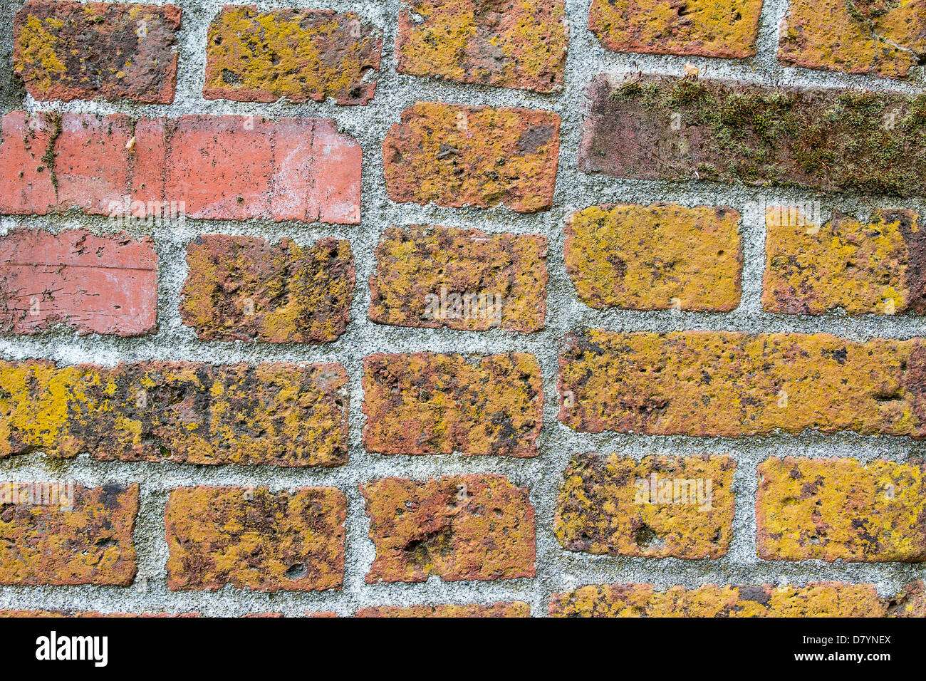 Old Brickwork on Archway of Historic Building Closeup Macro Stock Photo ...