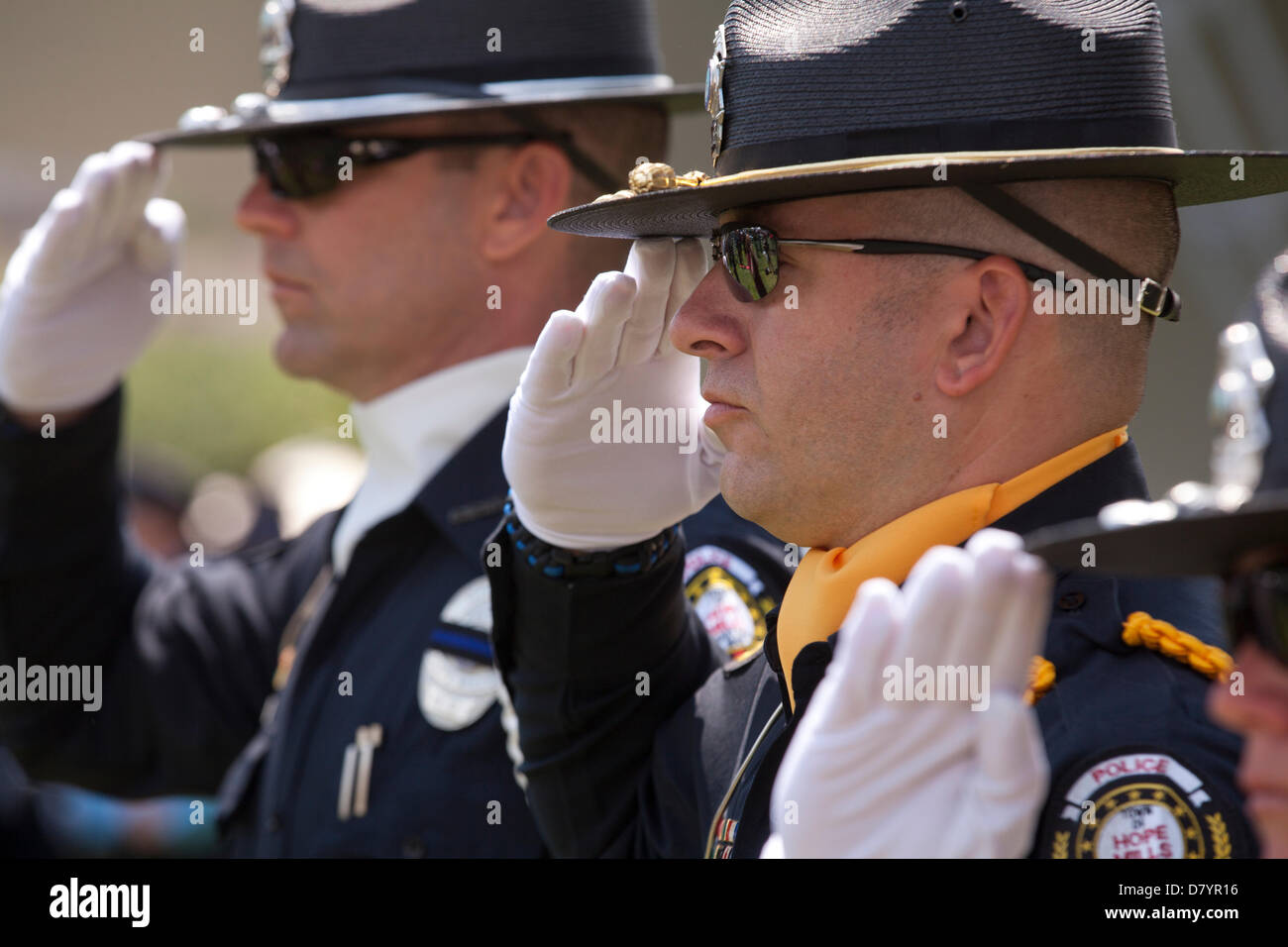 Saluting Officers Stock Photos & Saluting Officers Stock Images - Alamy