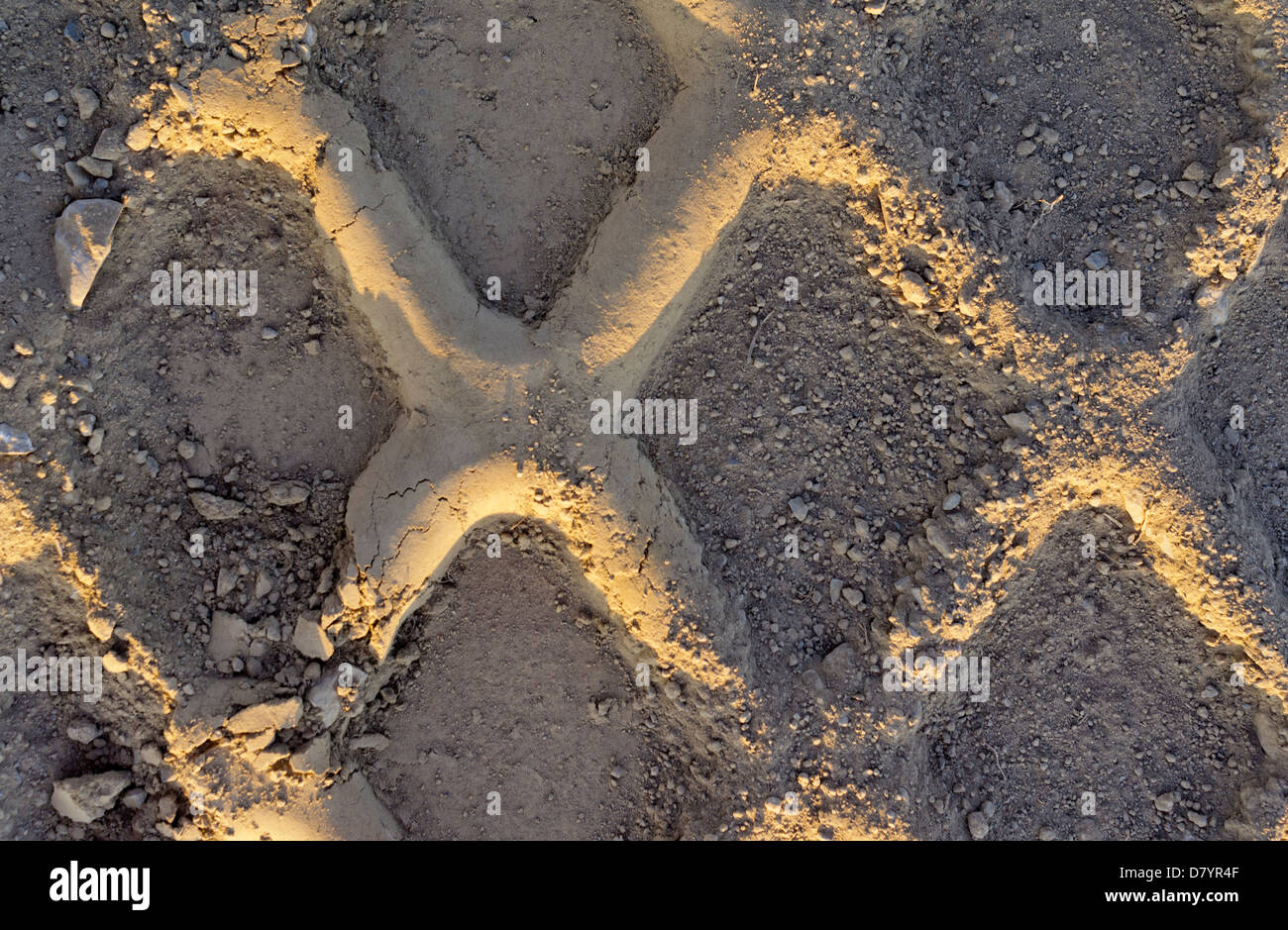 Truck tire tracks on dried mud in late afternoon Stock Photo - Alamy