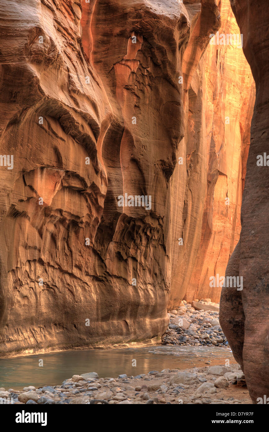 USA, Utah, Zion National Park, The Narrows, Hiker inside the Canyon ...