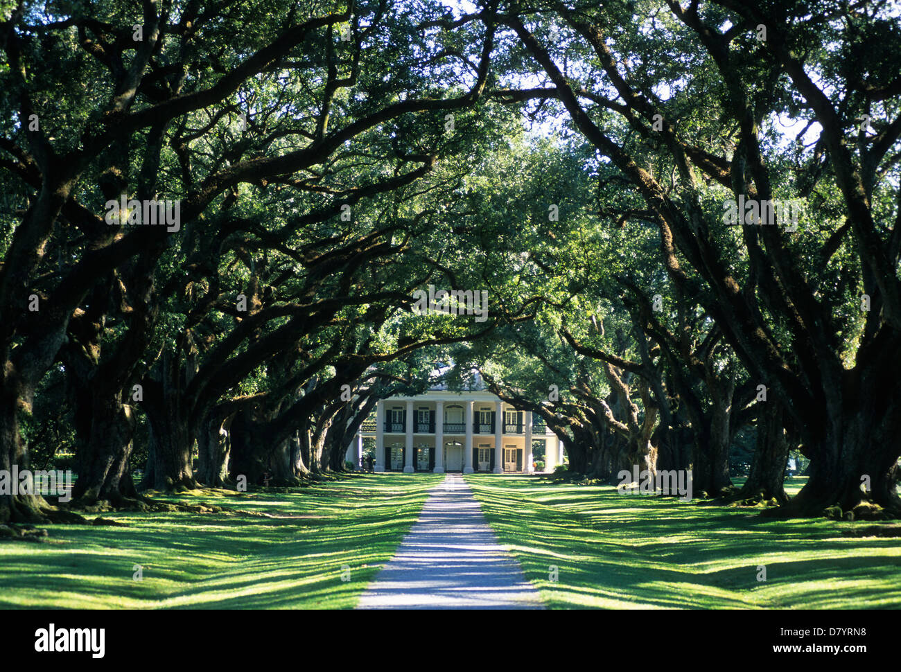 Elk283-3270 Louisiana, Mississippi River Valley, Oak Alley Plantation ...