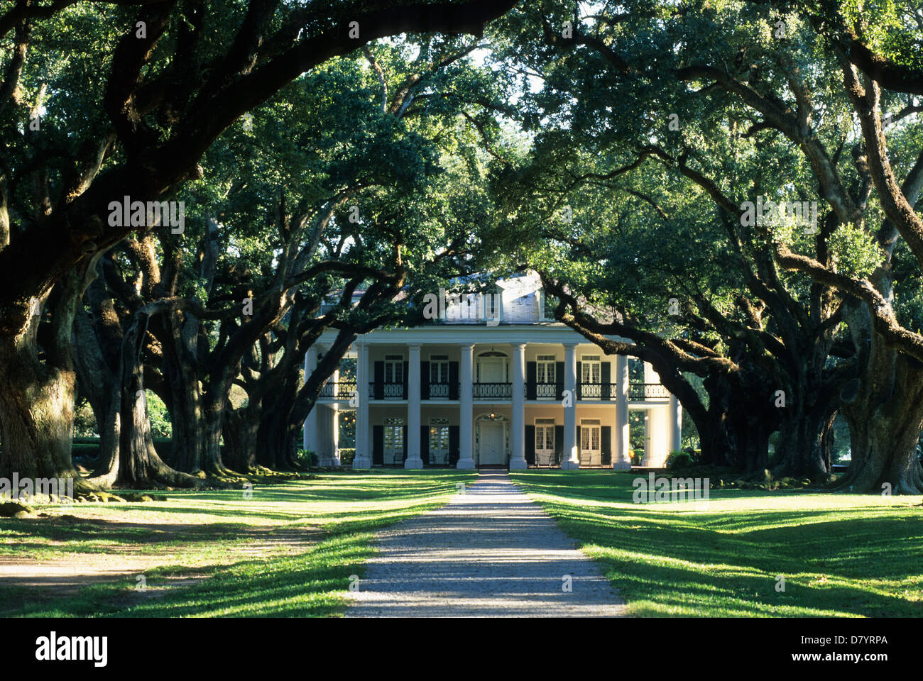 Elk283-3280 Louisiana, Mississippi River Valley, Oak Alley Plantation ...
