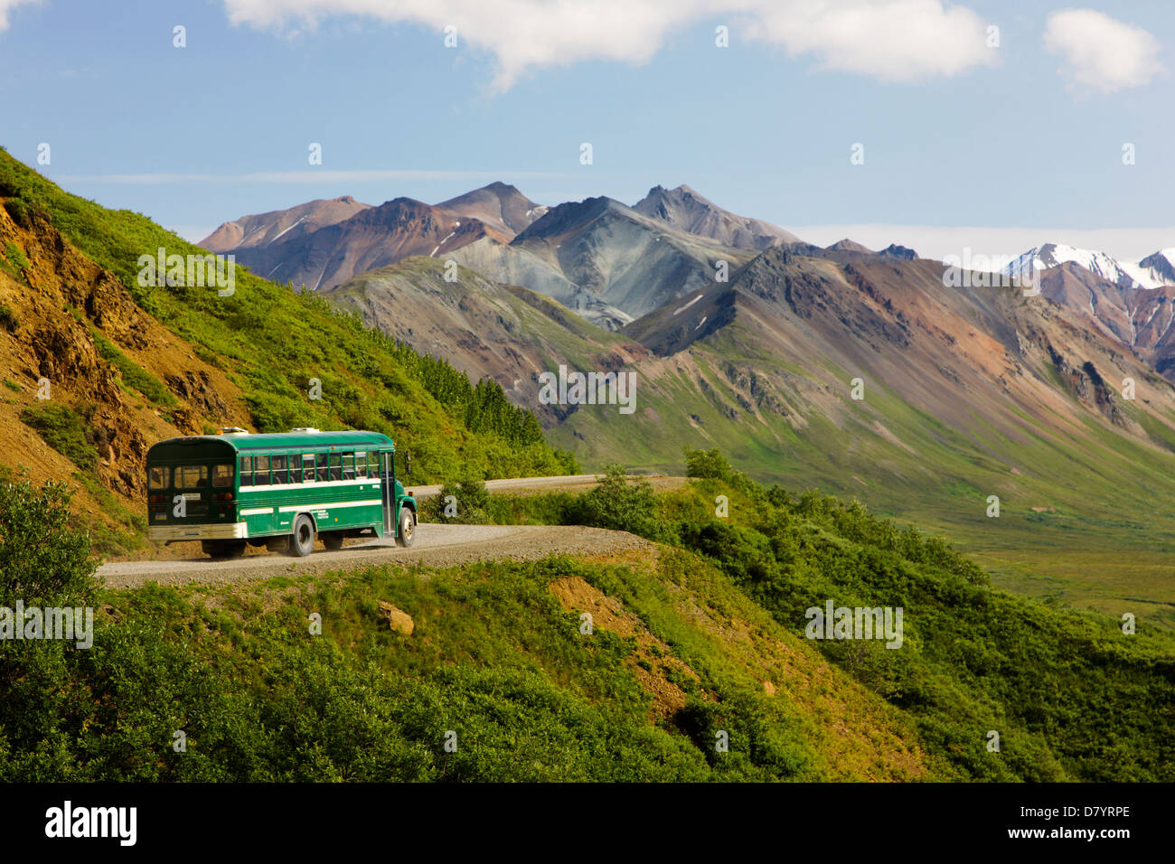 Buses shuttle visitors on the limited access Denali Park Road, Denali ...