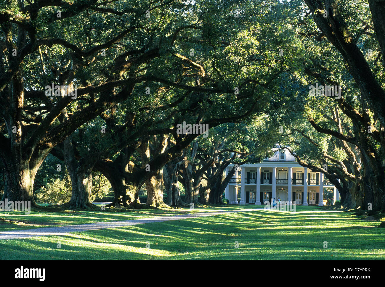 Elk283-3296 Louisiana, Mississippi River Valley, Oak Alley Plantation ...