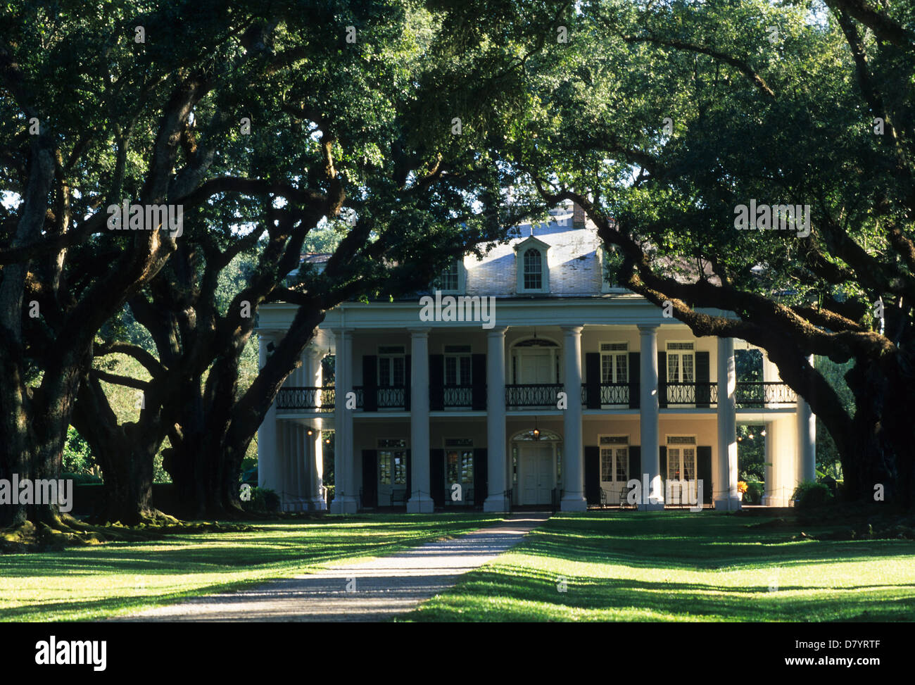 Elk283-3315 Louisiana, Mississippi River Valley, Oak Alley Plantation ...