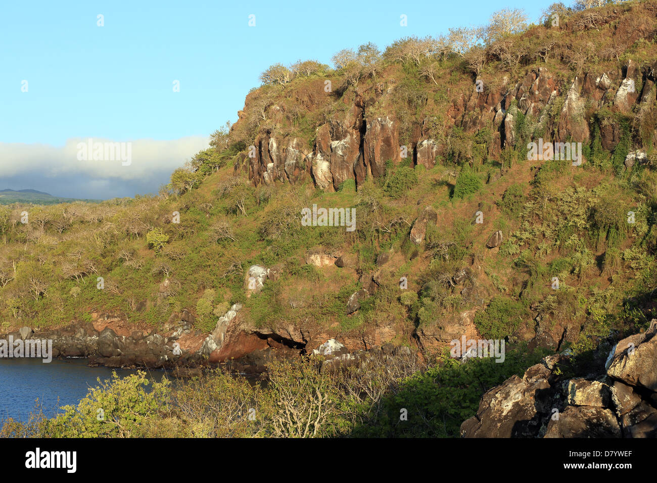 Frigate bird hill hi-res stock photography and images - Alamy