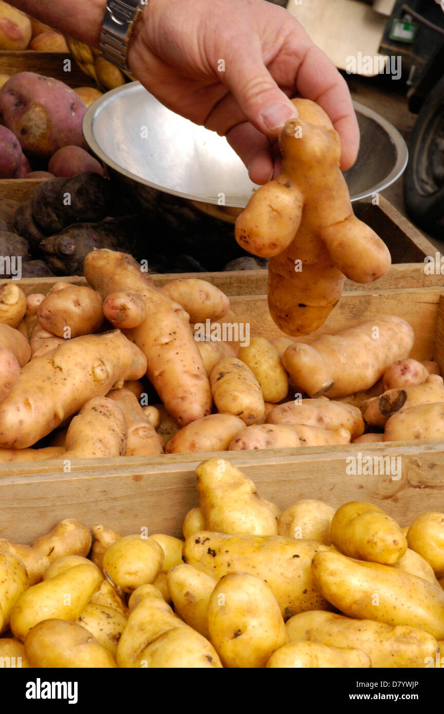 selecting potatoes at a farmers market Stock Photo - Alamy