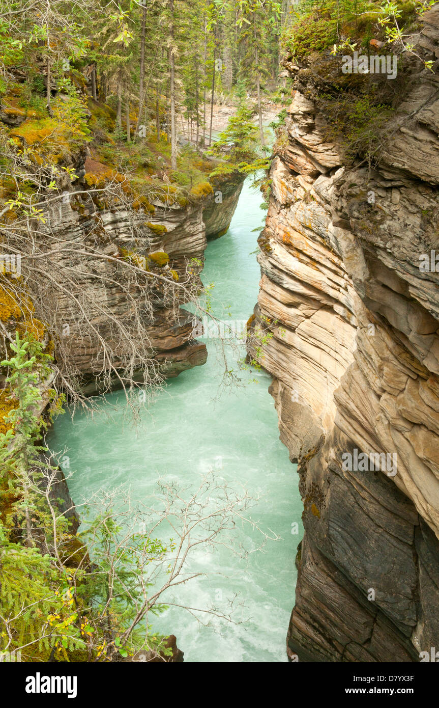 Gorge at Athabasca Falls, Jasper NP, Alberta, Canada Stock Photo - Alamy