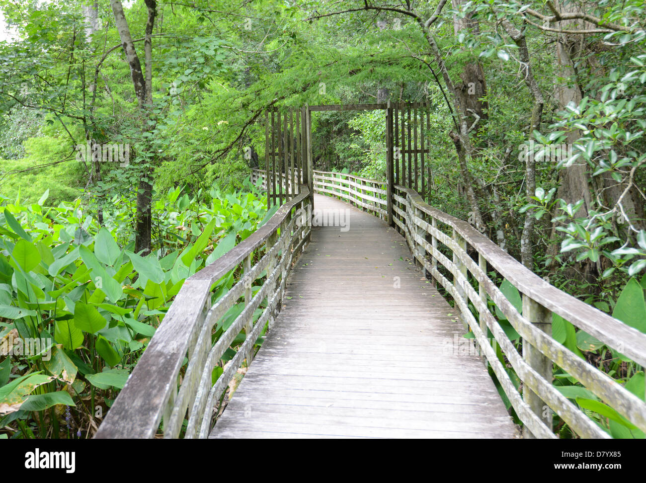 Perspective view of Gate and path that goes through a stunning green ...