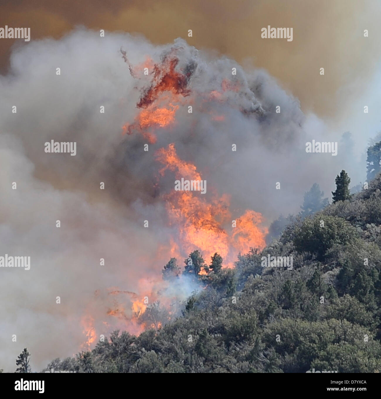 Frazier mountain park hi-res stock photography and images - Alamy