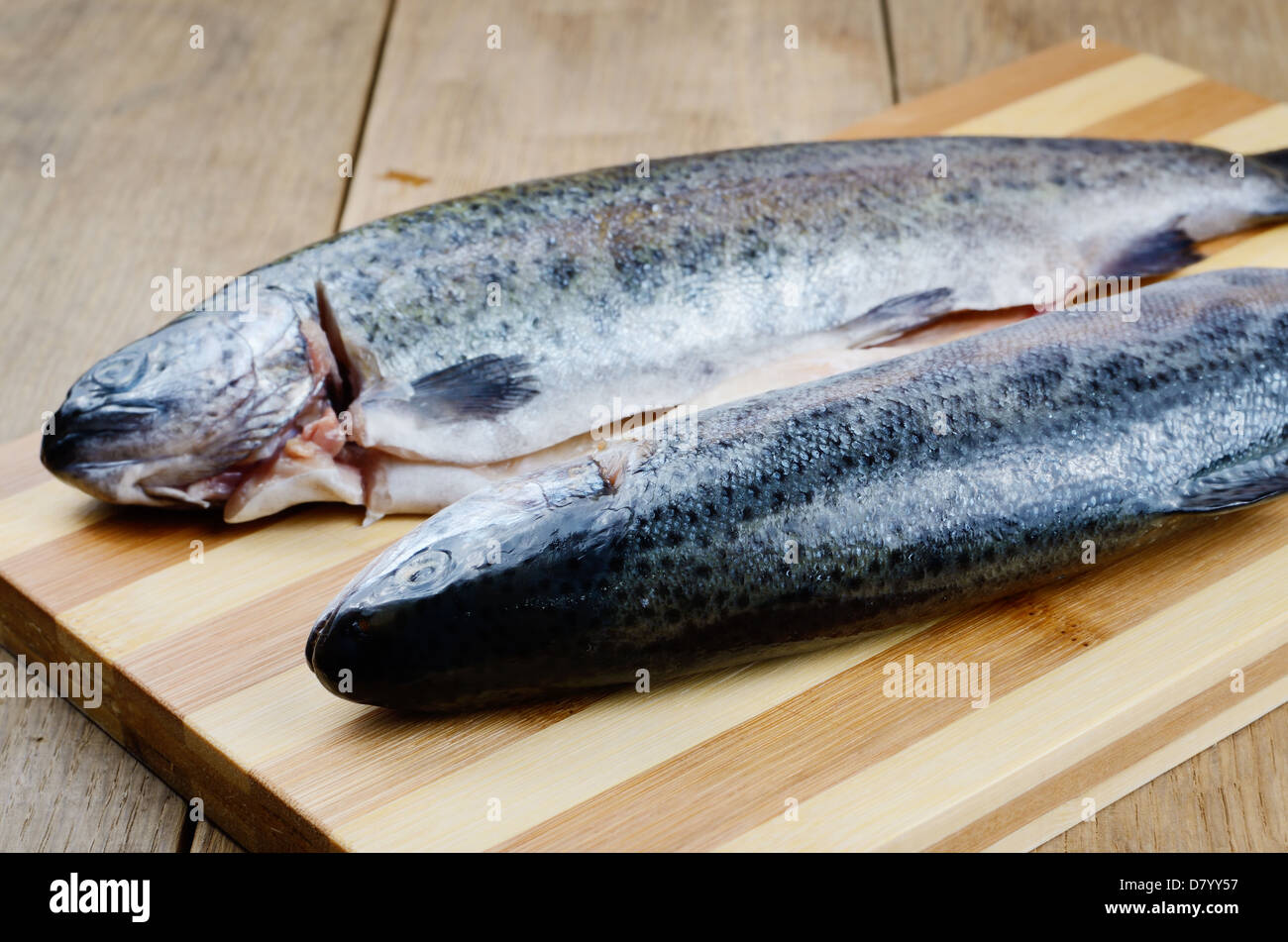 Two raw trout set on the kitchen table Stock Photo - Alamy