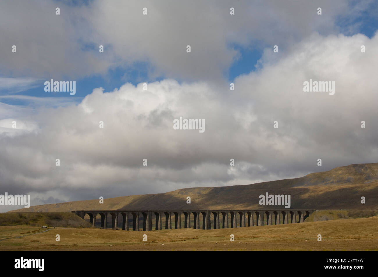 Ribblehead viaduct train spring hi-res stock photography and images - Alamy