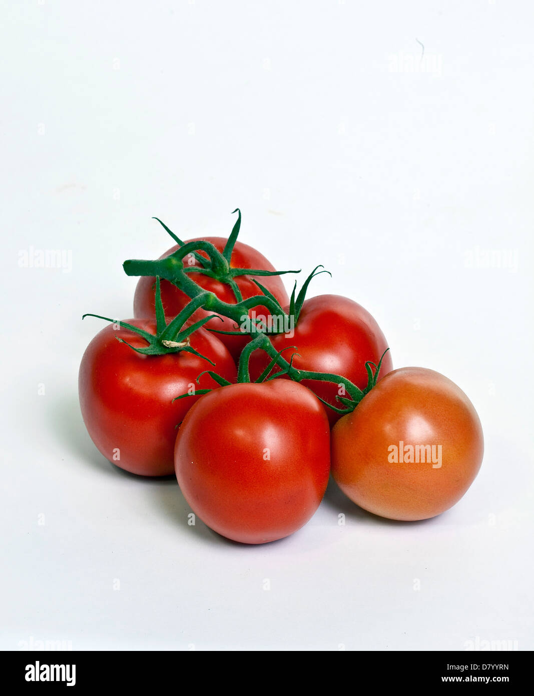 Five vine-ripened tomatoes against a white background Stock Photo - Alamy