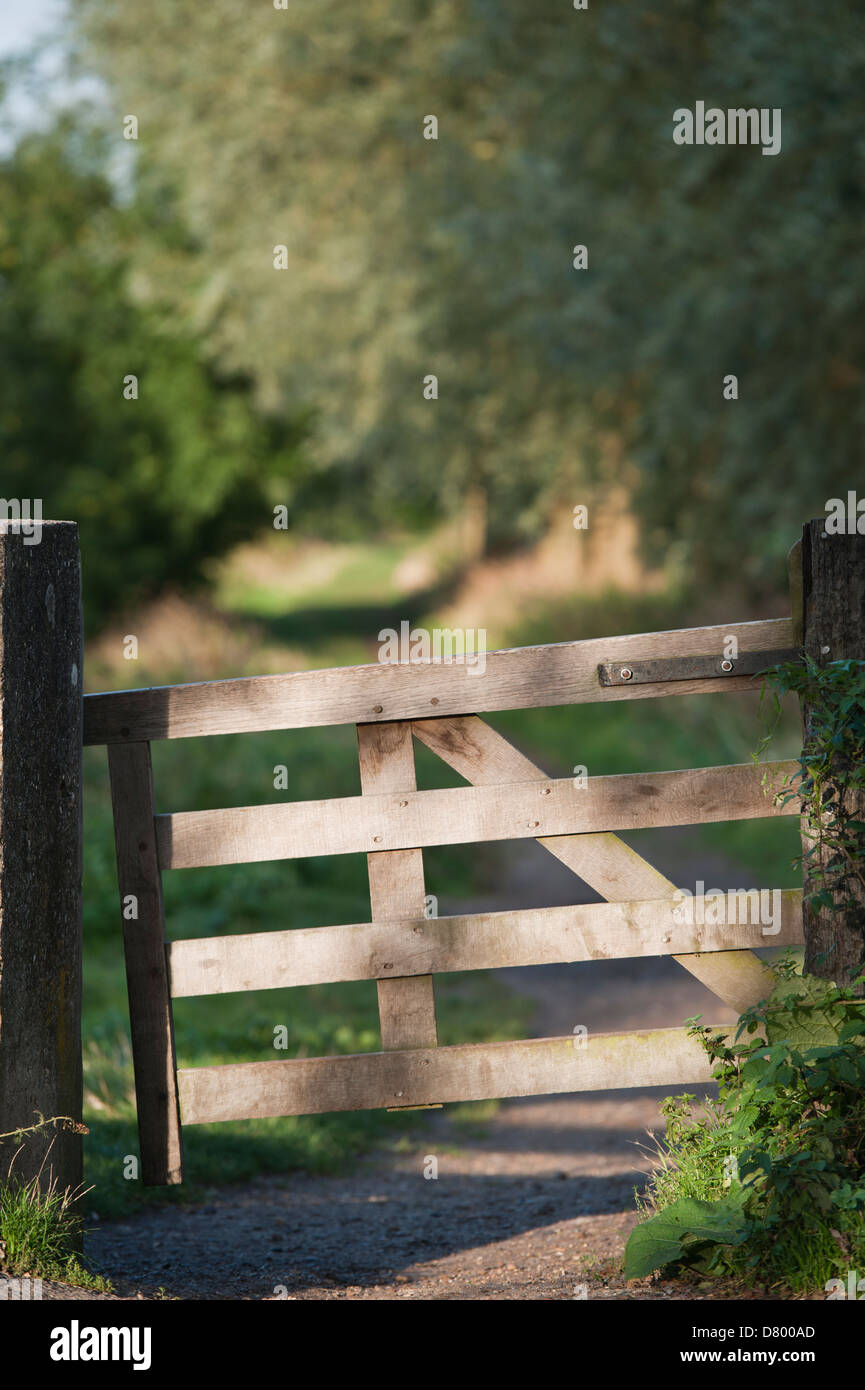 gate and pathway on country path in summer with dappled light, gate ...