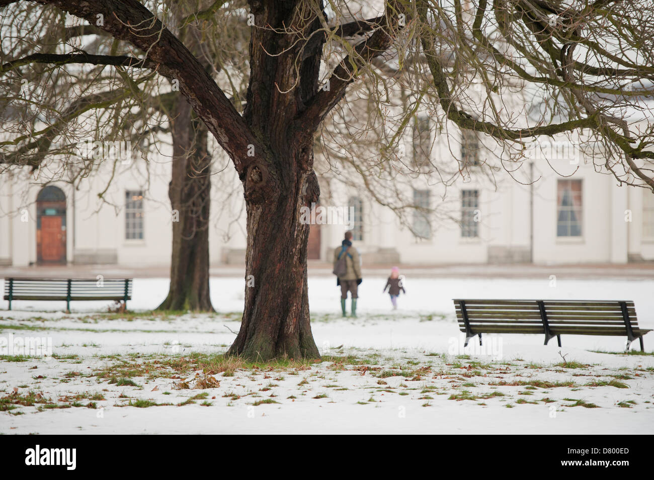 Snow scene in winter of Hylands park, a grand estate house in ...
