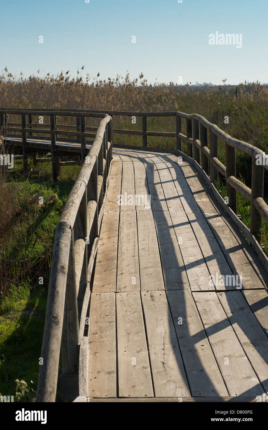 Footbridge leading over marshland in a natural park Stock Photo - Alamy