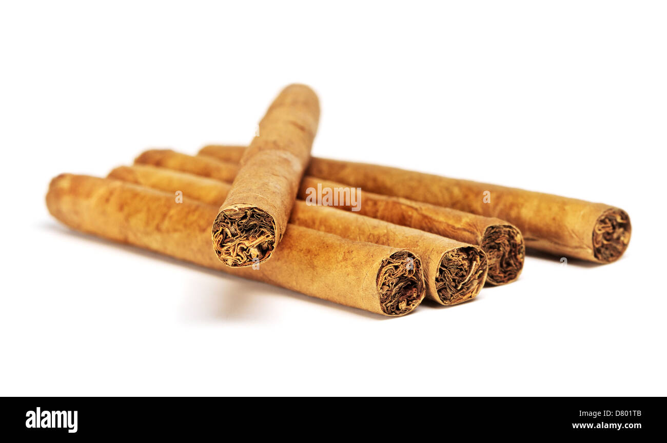 little cigars close up, isolated on white Stock Photo - Alamy