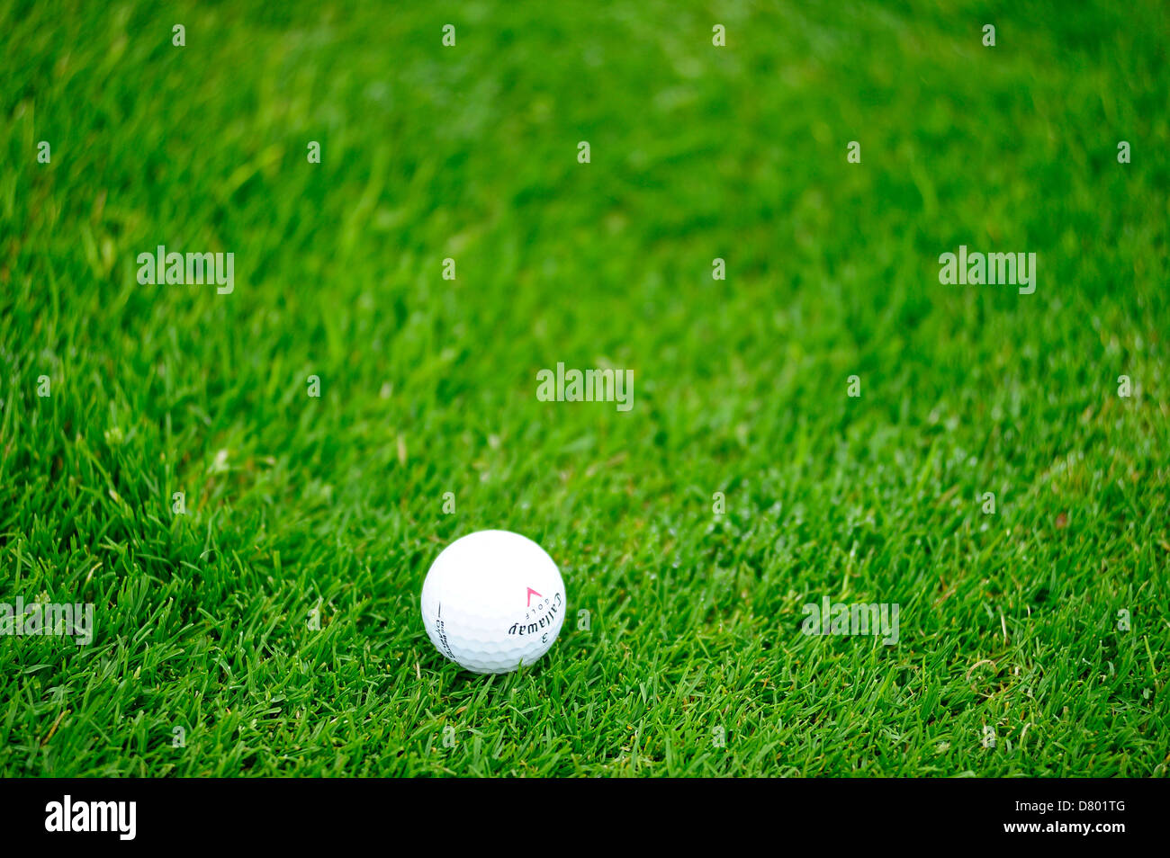 Golf ball over the grass Stock Photo - Alamy