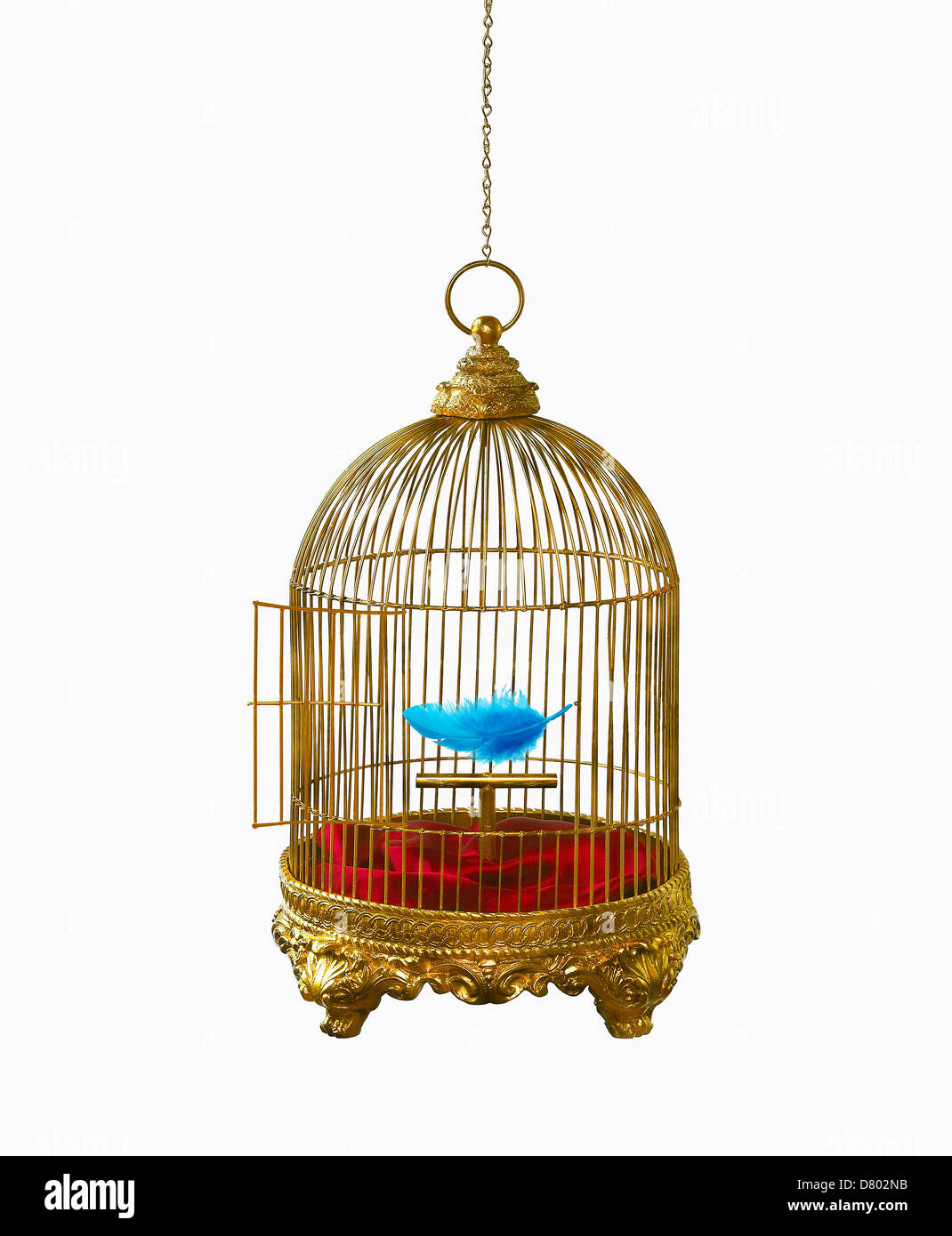 Bird flying out of cage hi-res stock photography and images - Alamy