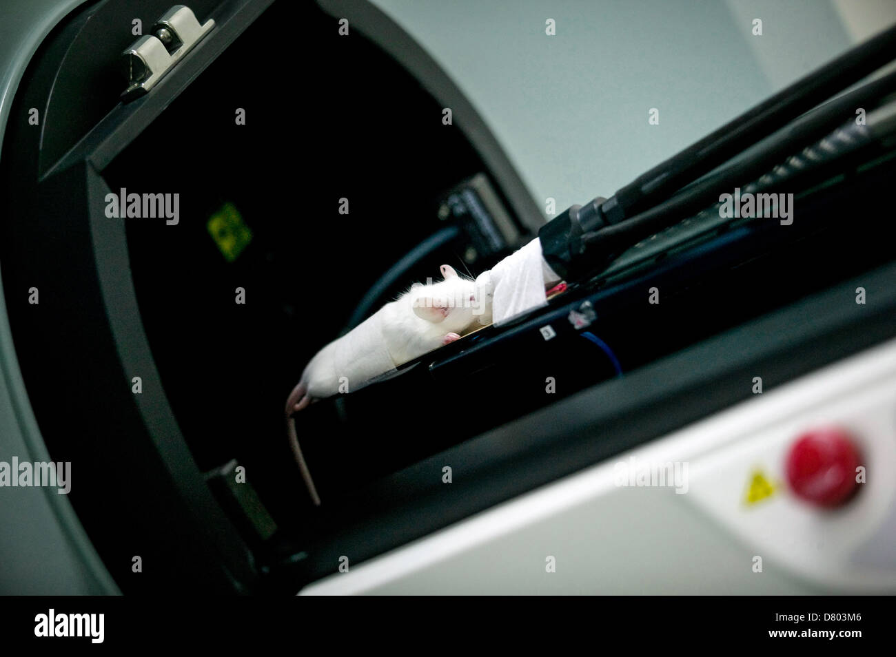 Pet ct imaging hi-res stock photography and images - Alamy