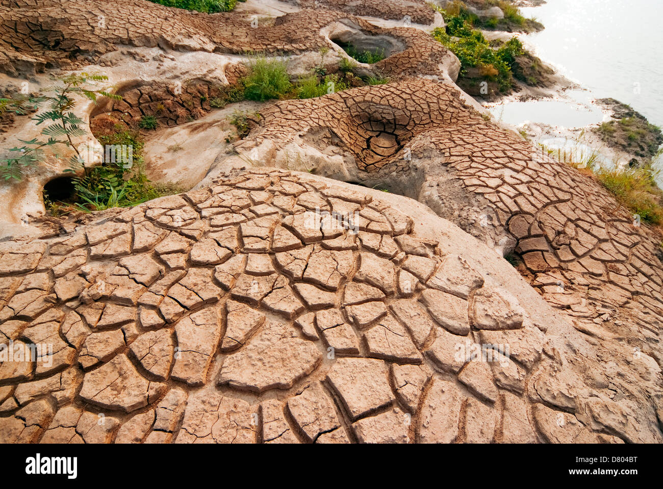 cracked and dry land due to drought Stock Photo - Alamy