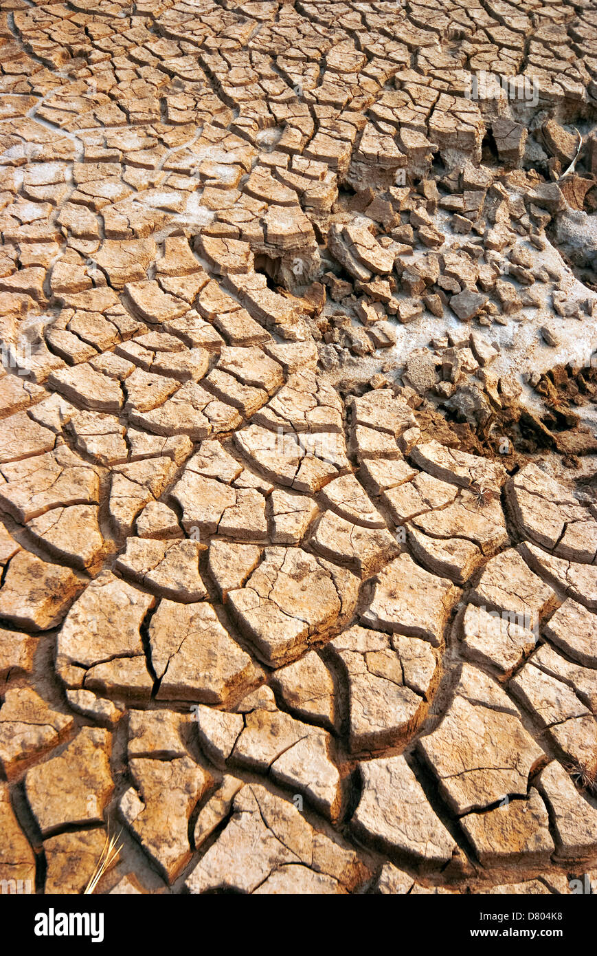 Drought and dry wasteland hi-res stock photography and images - Alamy