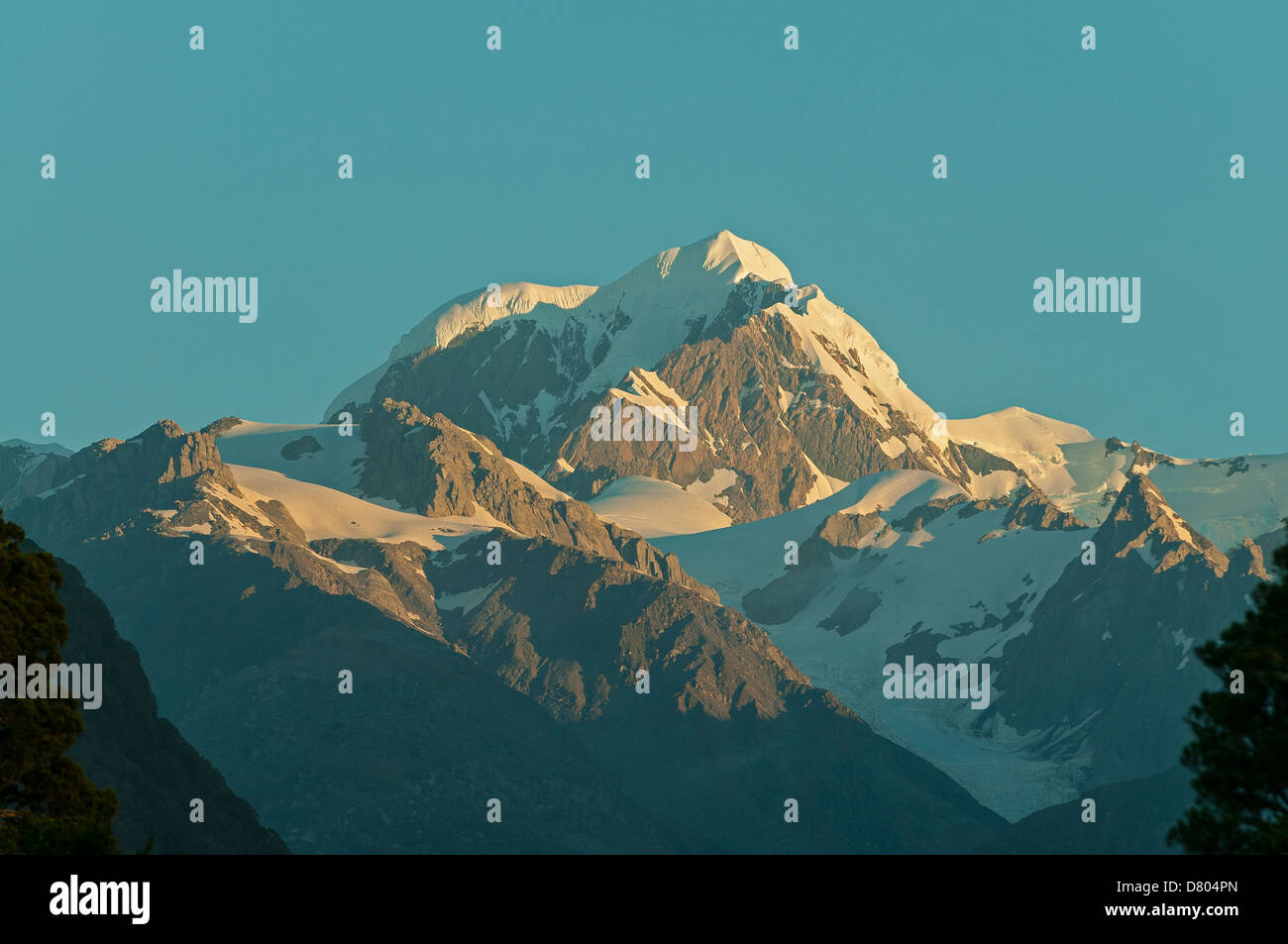 Mt Tasman from Fox Glacier, West Coast, New Zealand Stock Photo - Alamy