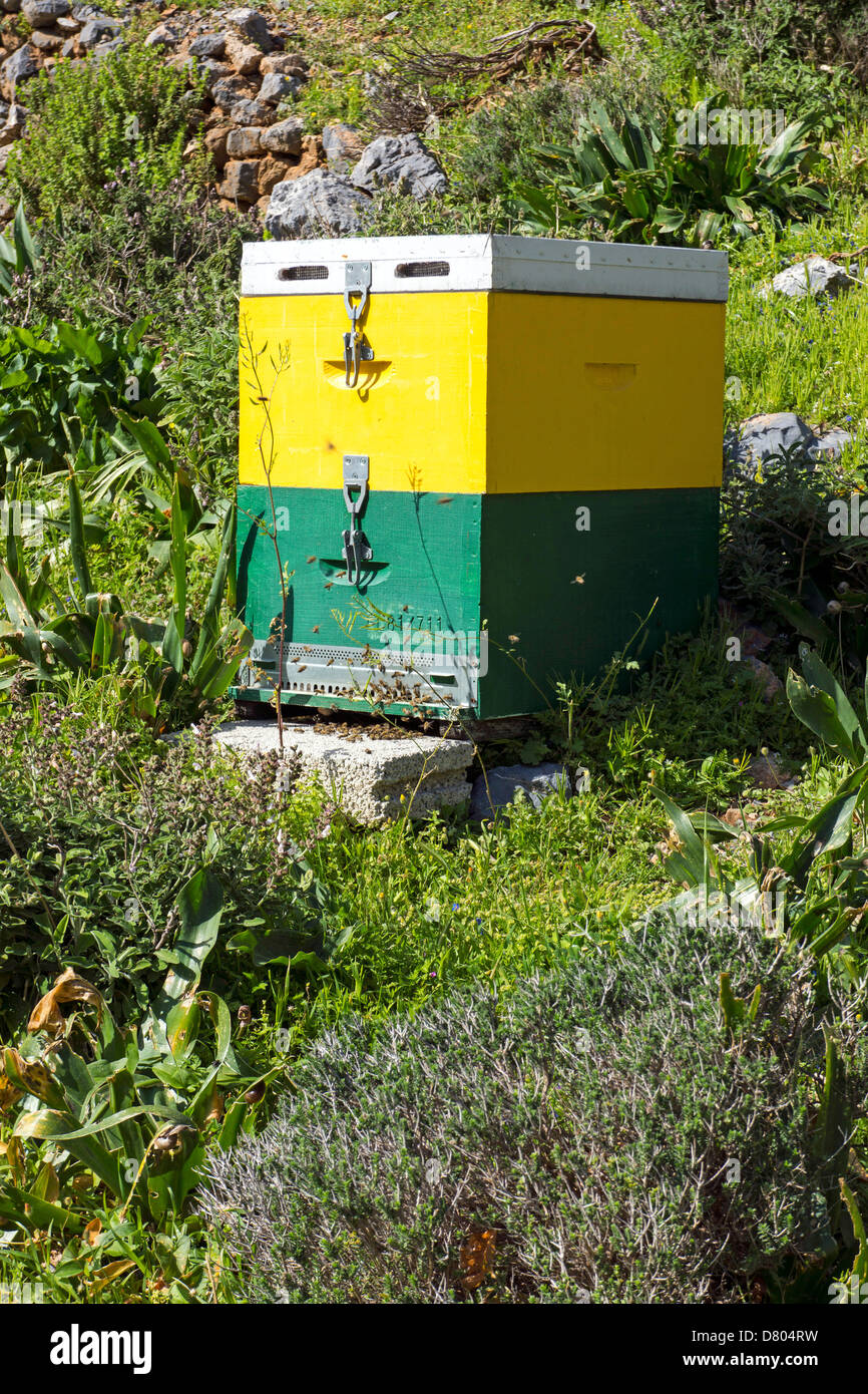 Yellow and green beehives on grassy slope, Kalymnos, Greece Stock Photo ...