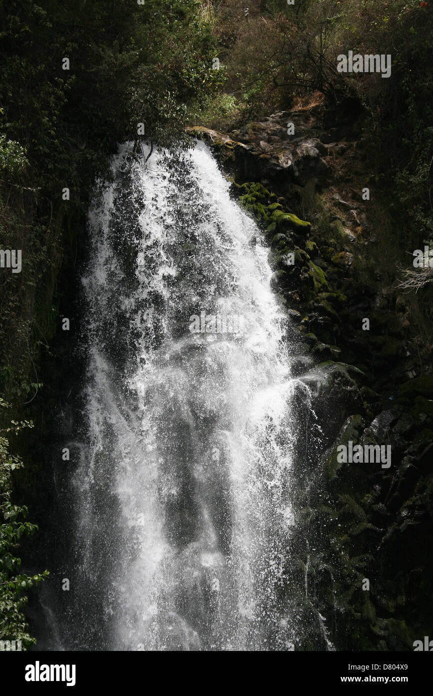 Peguche hi-res stock photography and images - Alamy