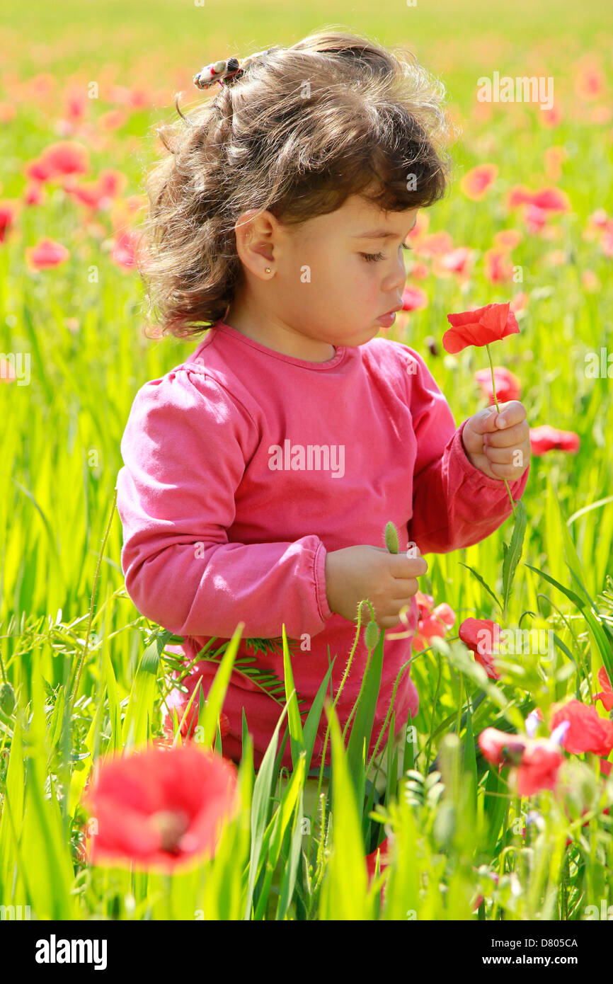 Little girl with poppies Stock Photo - Alamy