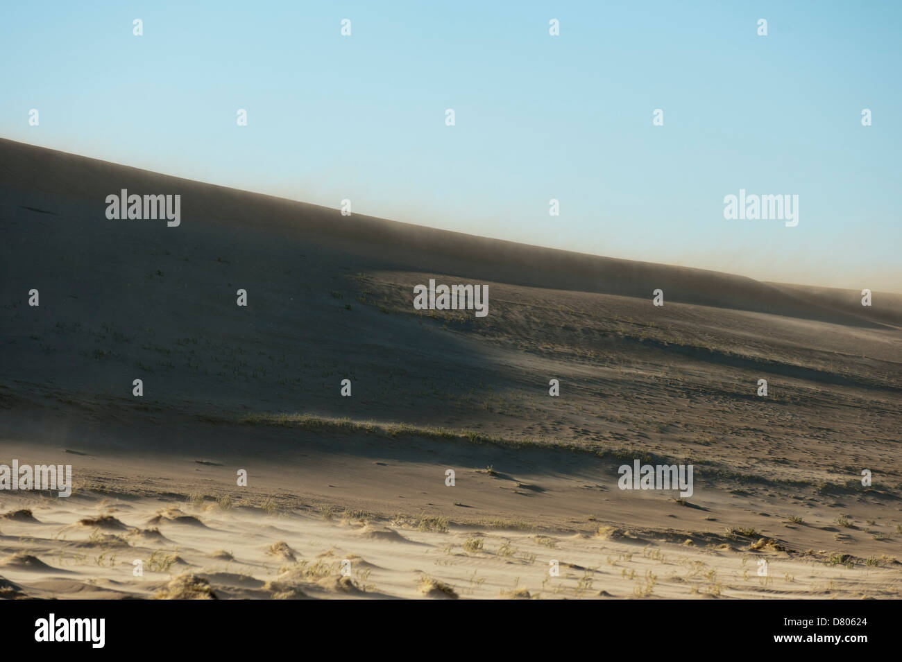 Wind on sand dunes, Skeleton Coast National Park, Namibia Stock Photo ...