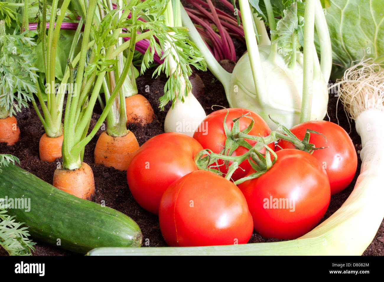 Many vegetables hi-res stock photography and images - Alamy