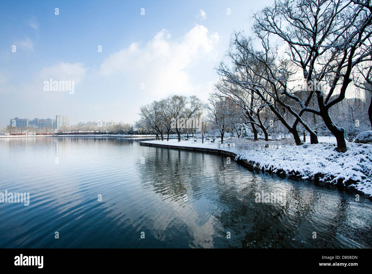 Snow covered trees along beautiful lake Stock Photo - Alamy