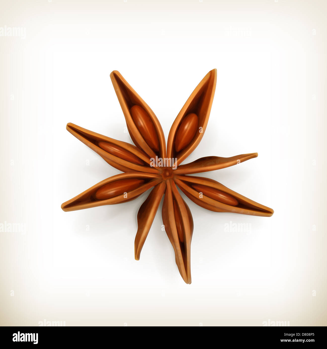 Anise star seed icon hi-res stock photography and images - Alamy