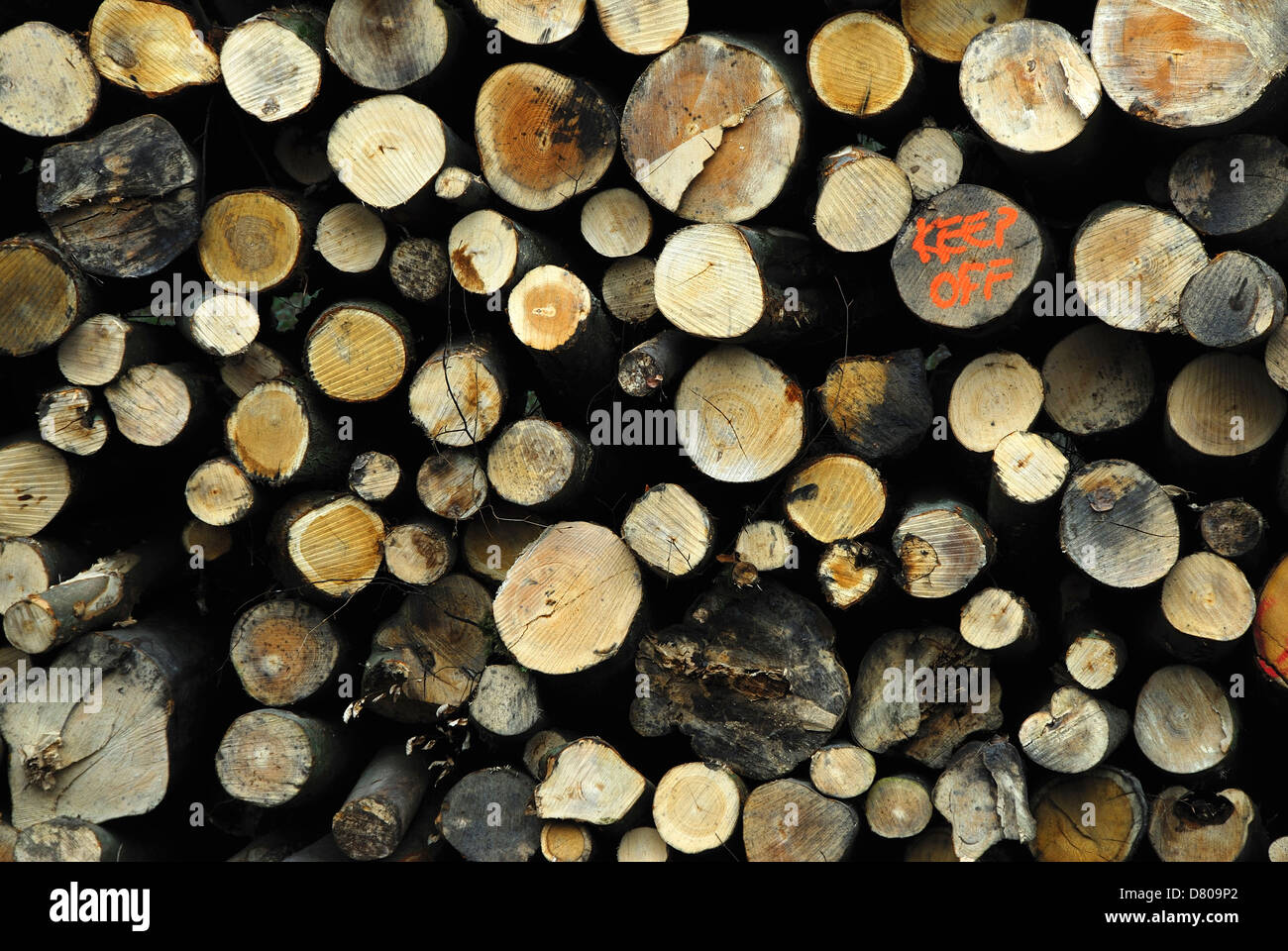 A stack of band wood or logs Stock Photo - Alamy