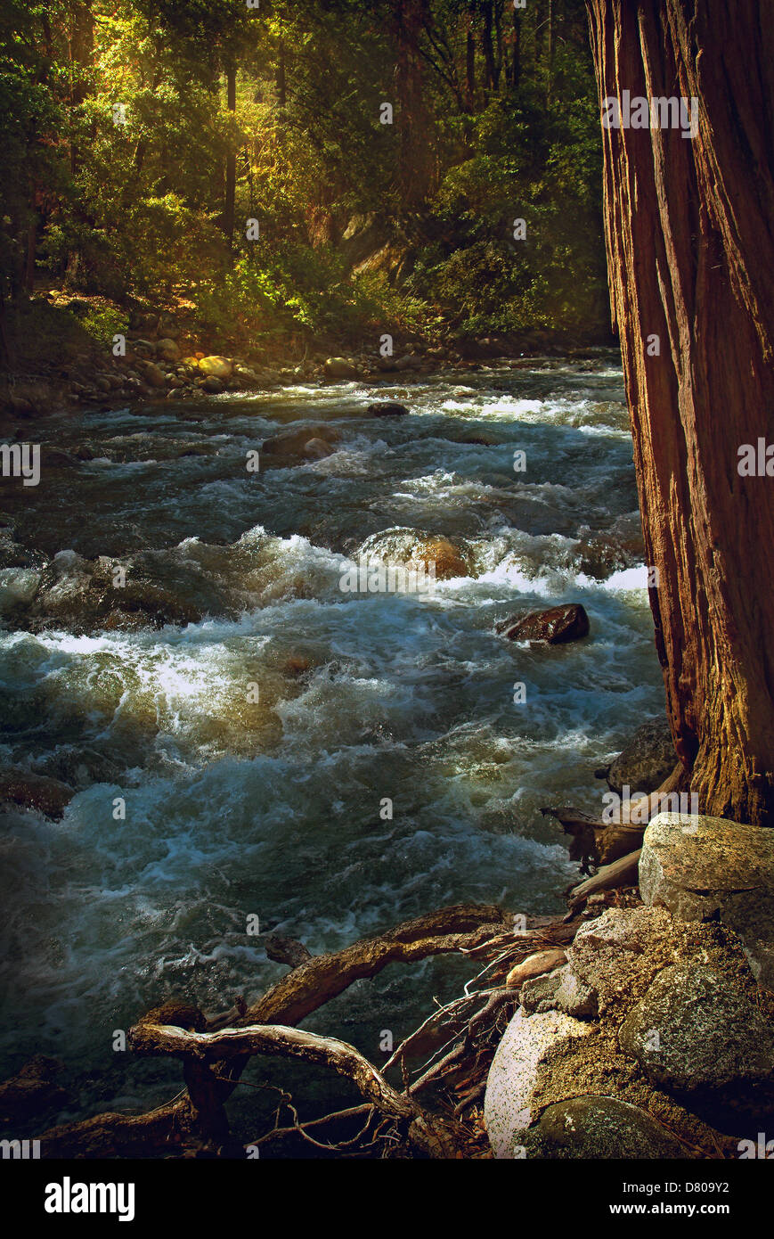 Water rushing over rocks in rural river Stock Photo - Alamy