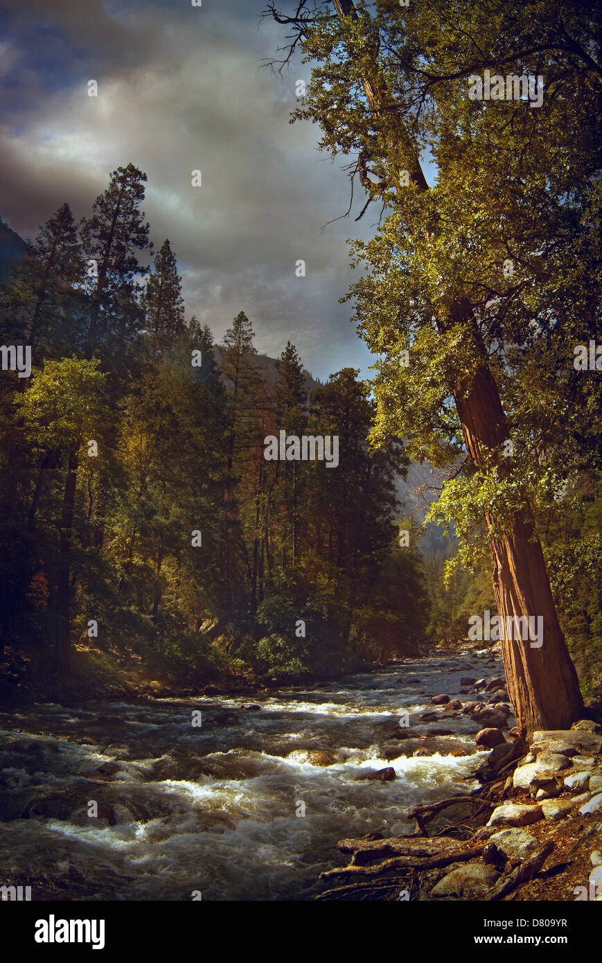 Trees and hillside by rural river Stock Photo - Alamy