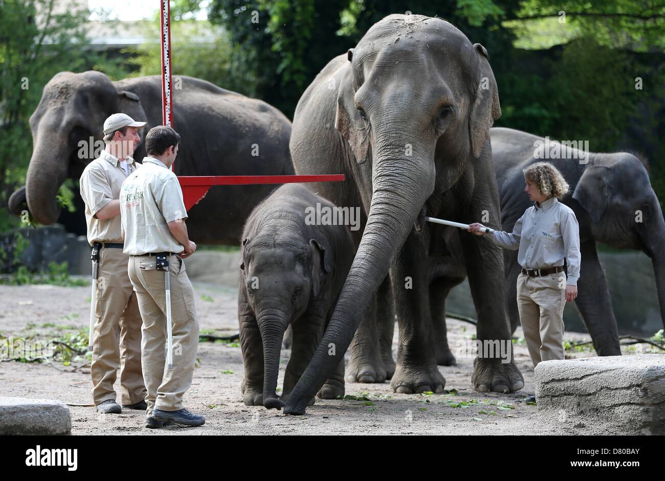 Animal inventory hi-res stock photography and images - Alamy