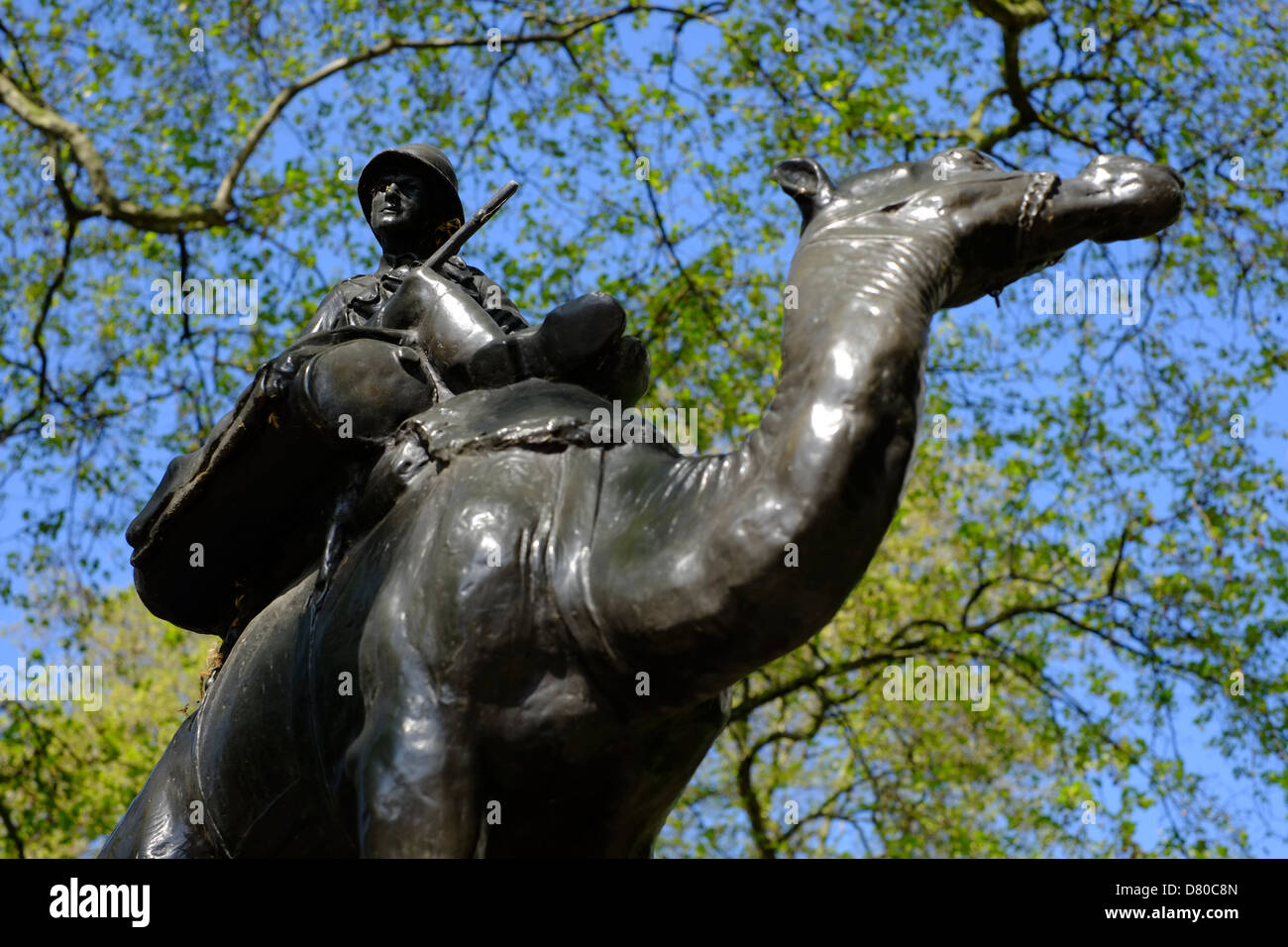 Camel Corps Monument Stock Photo - Alamy