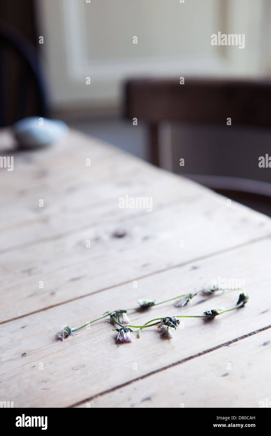 Daisy chain lying on table Stock Photo - Alamy