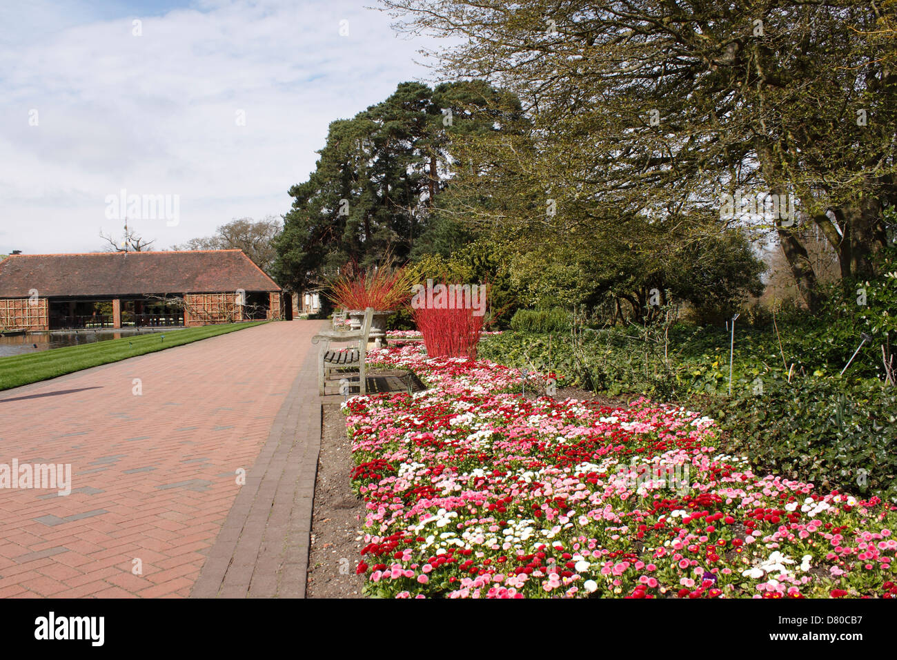 COLOURFUL BORDERS AT RHS WISLEY IN SPRING. SURREY UK Stock Photo - Alamy