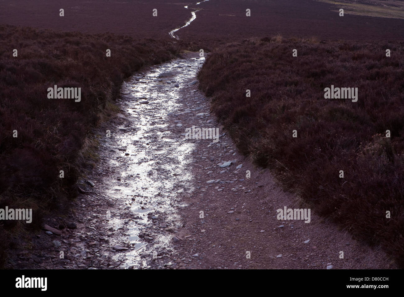 Meandering path hi-res stock photography and images - Alamy